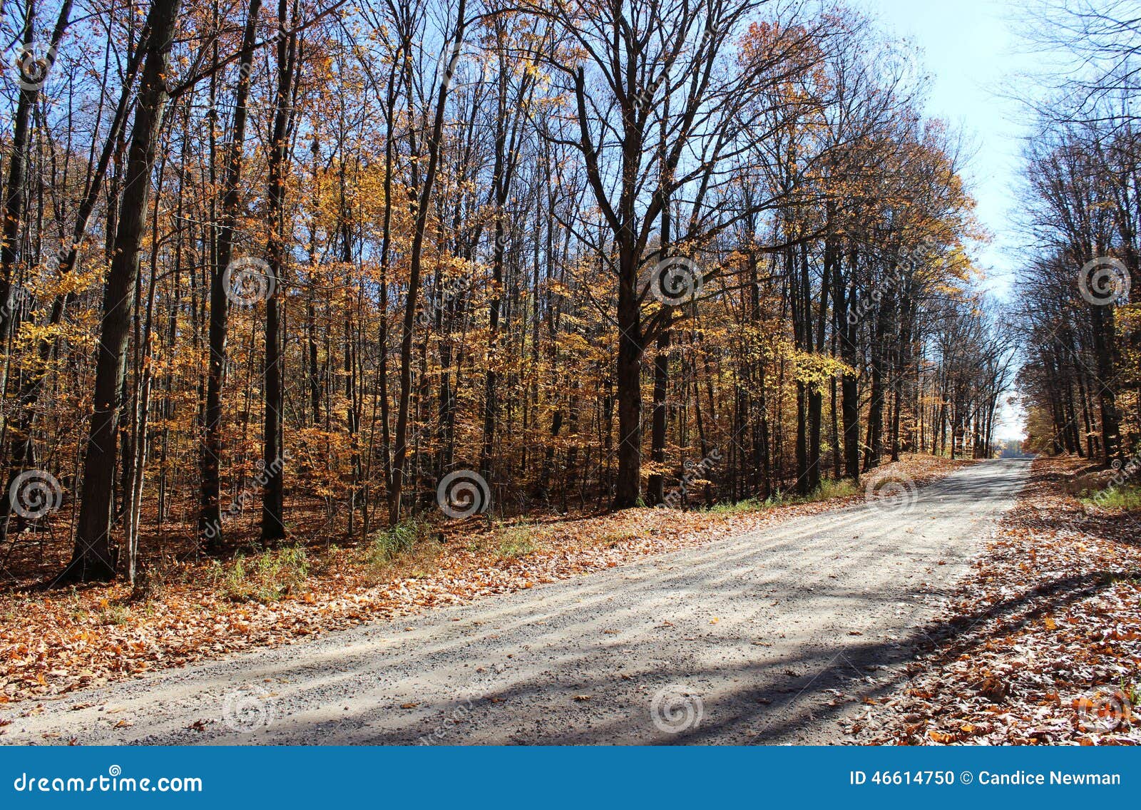 Country Dirt Road in Fall stock photo. Image of background - 46614750