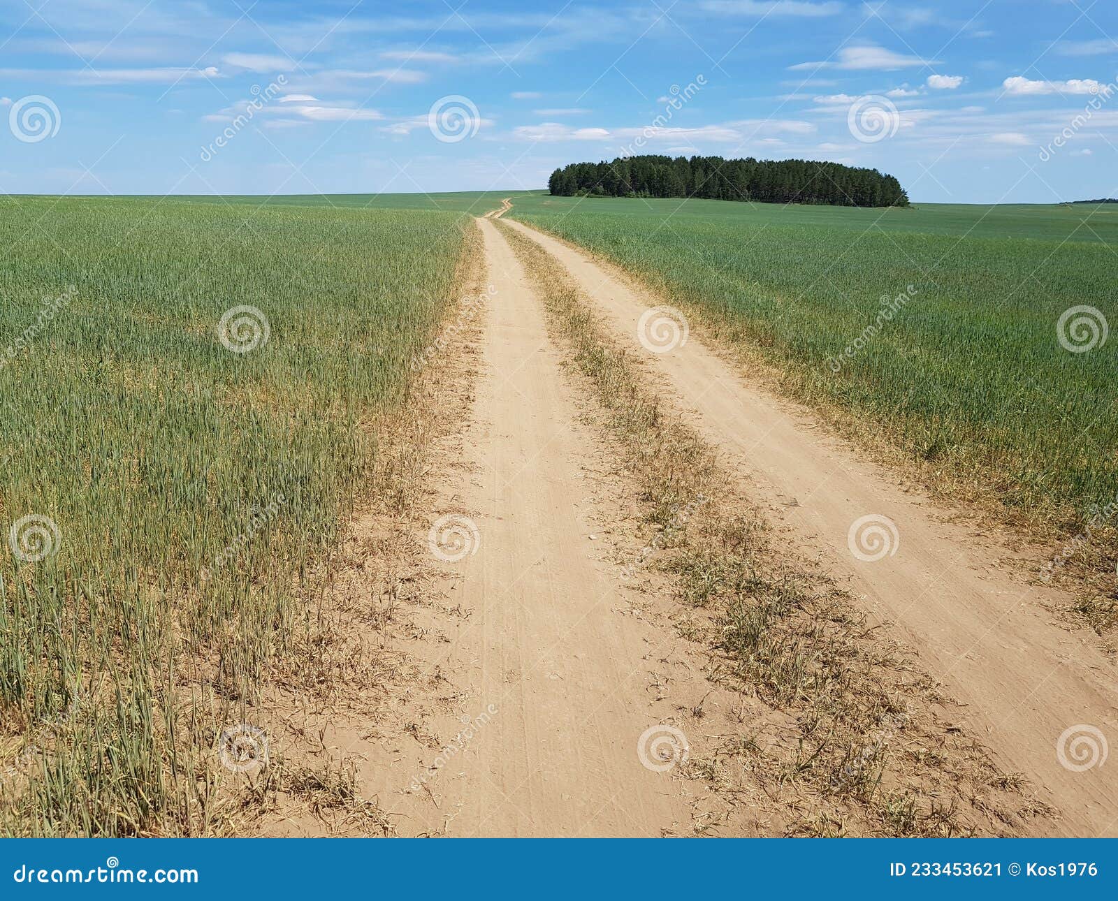 Country Dirt Road in the Field Stock Image - Image of agriculture ...