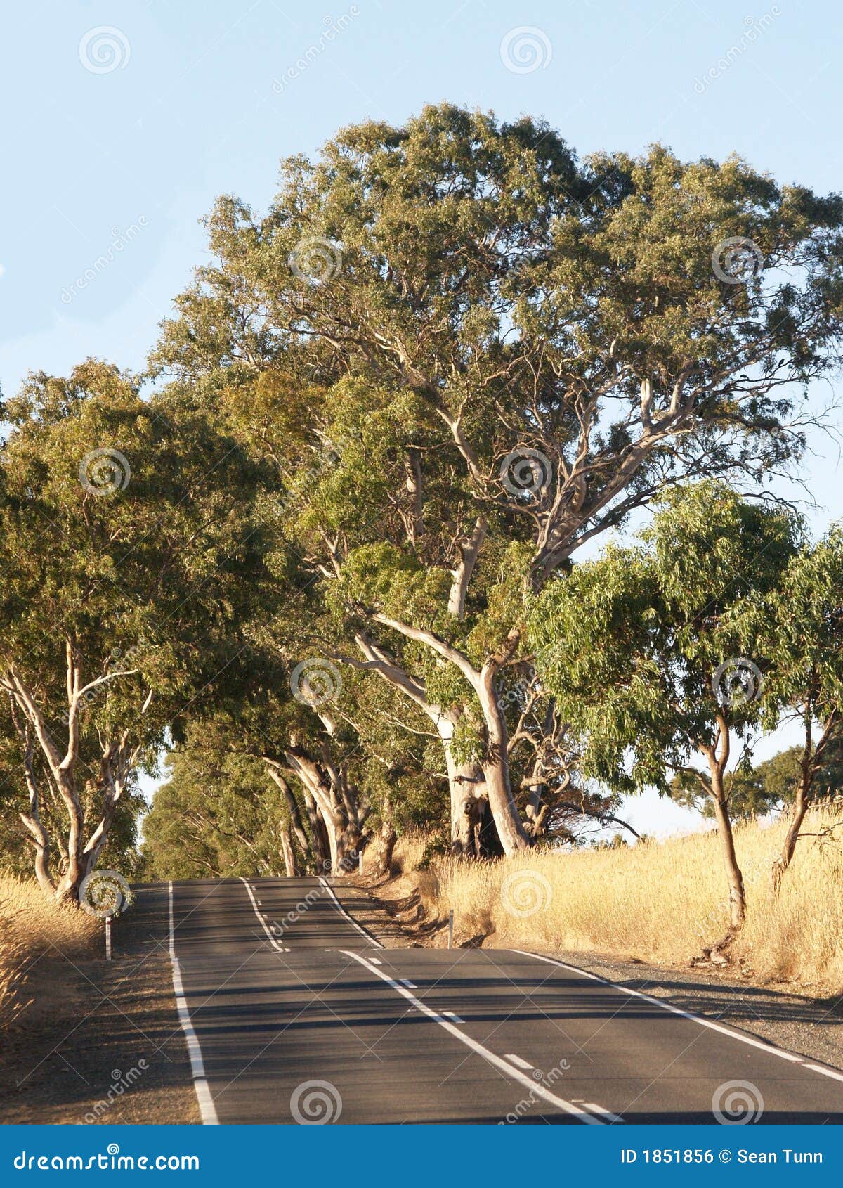 Country Drive stock photo. Image of green, crawford, country - 1851856