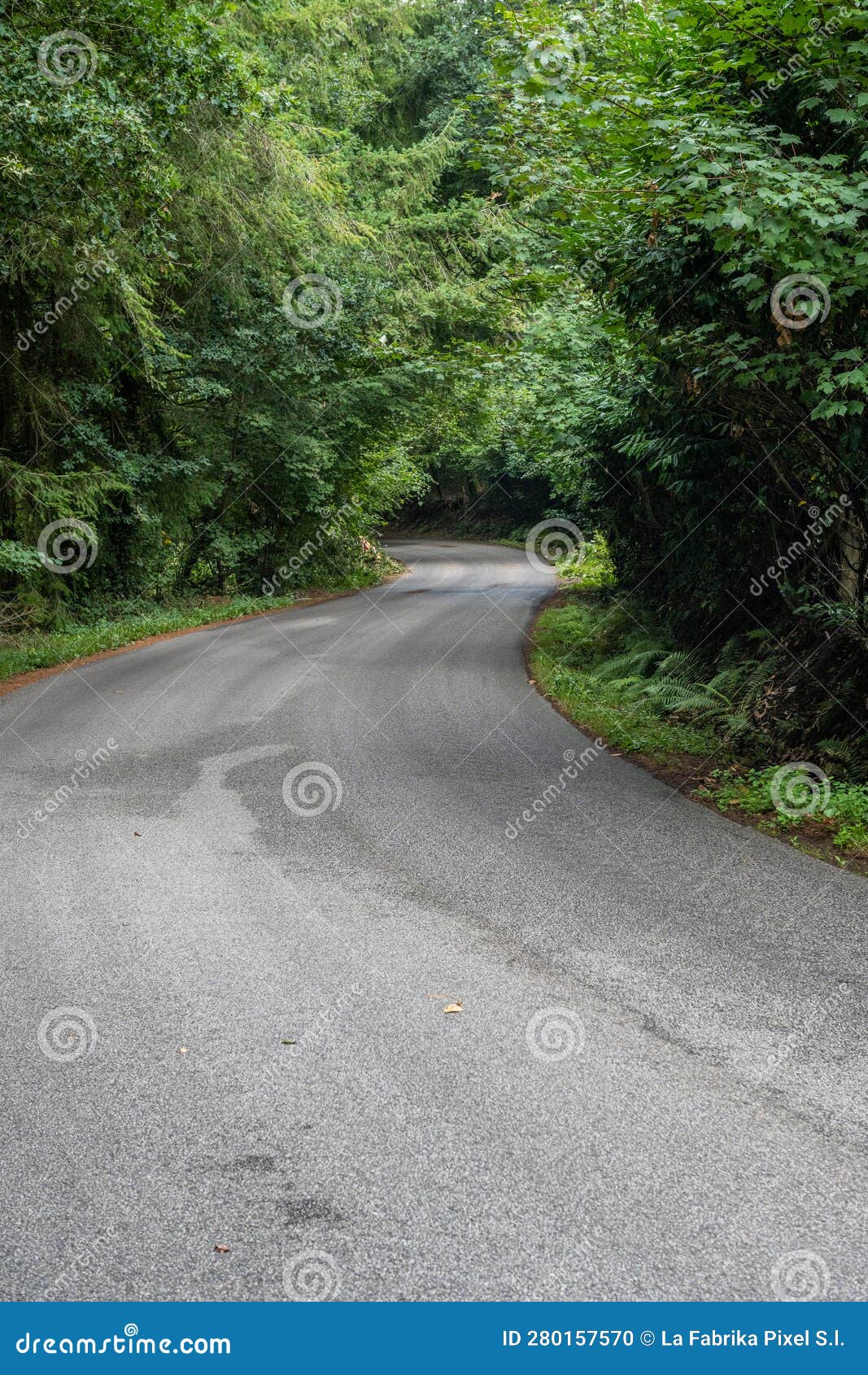 Country drive stock photo. Image of forest, travel, britany - 280157570
