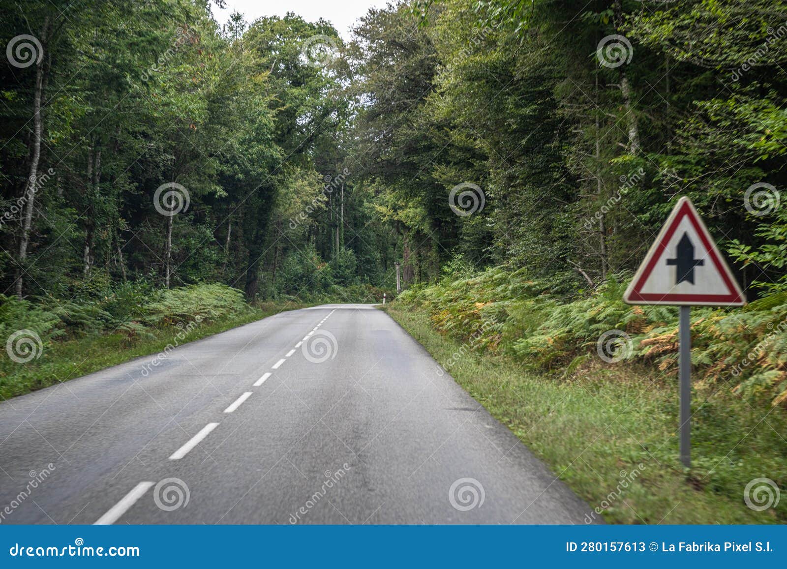 Country drive stock image. Image of country, travel - 280157613