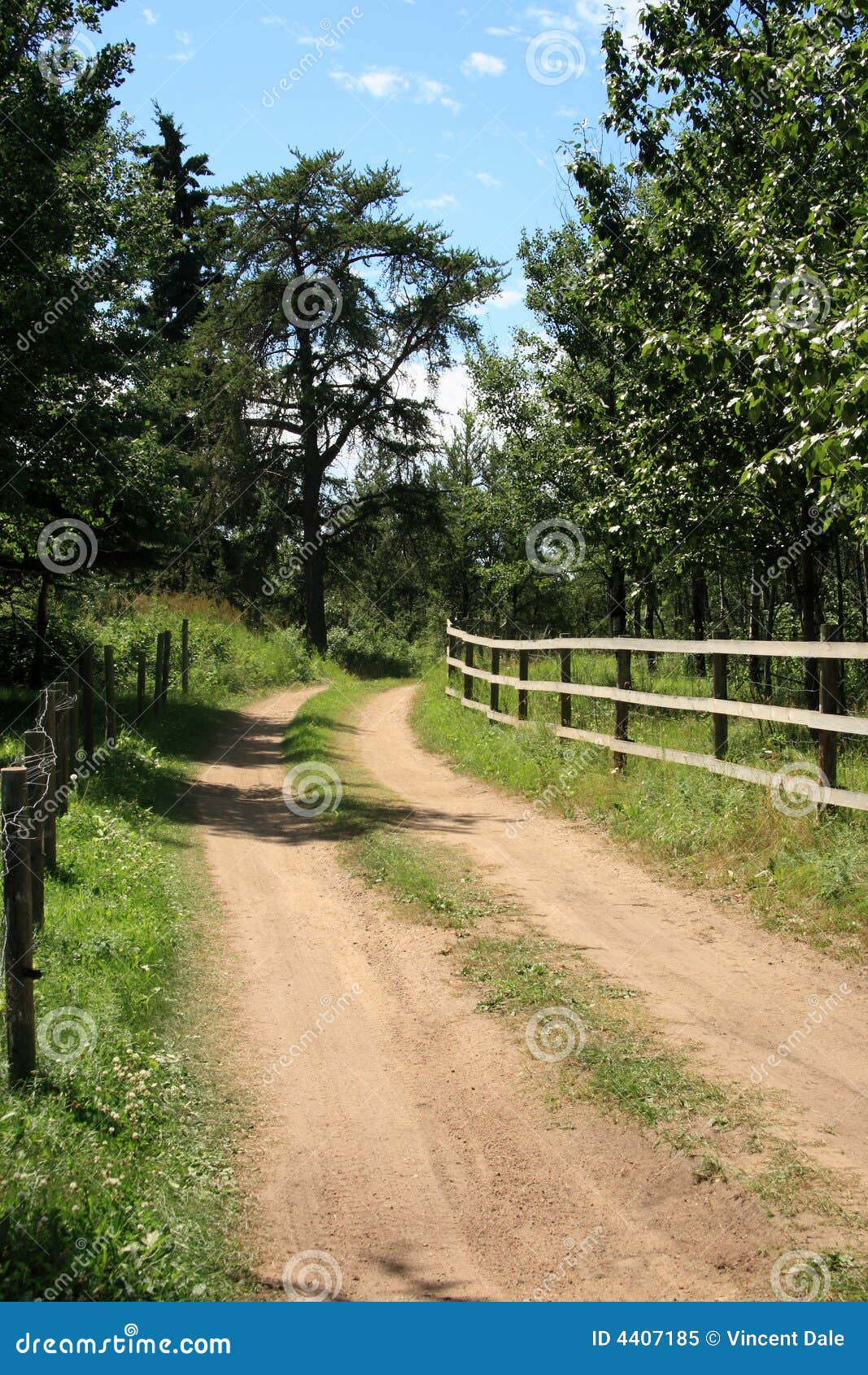 Country Driveway stock image. Image of green, distance - 4407185