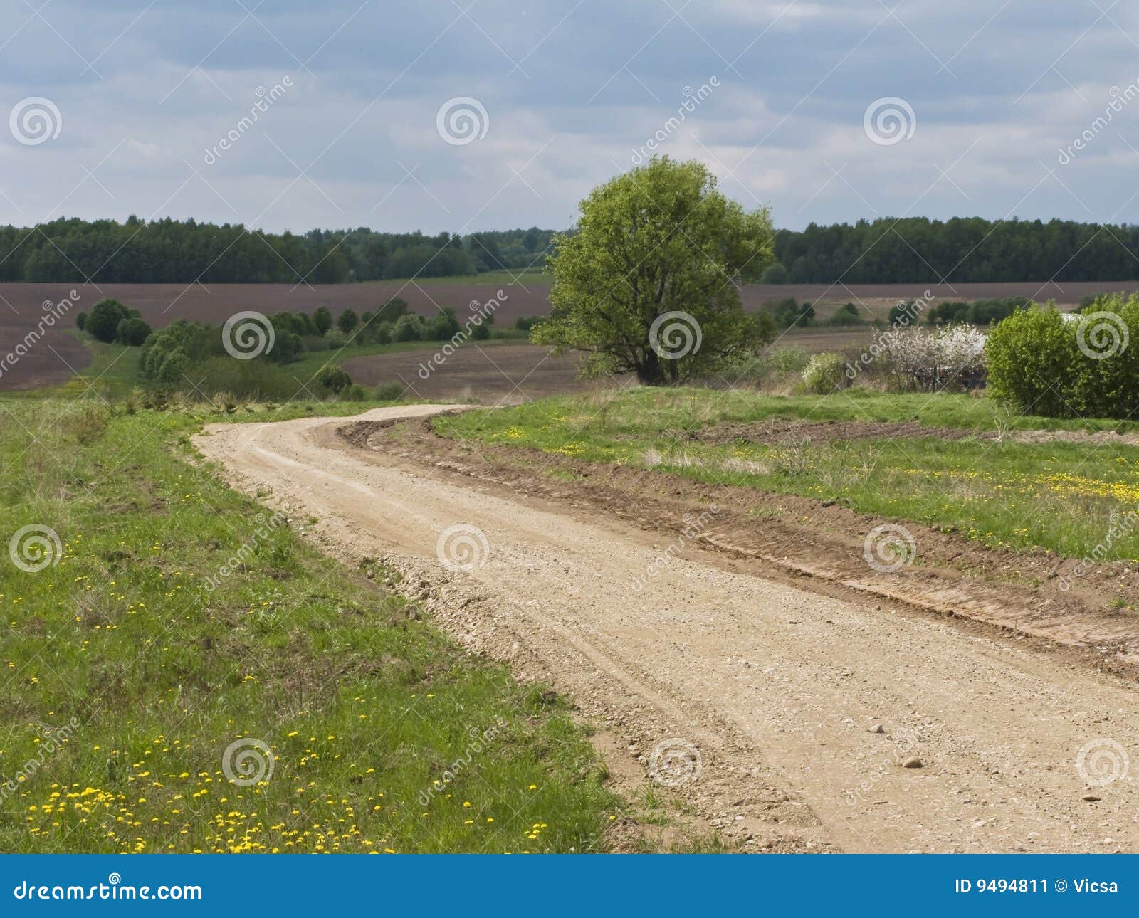 Country earth road stock image. Image of grassland, outdoor - 9494811