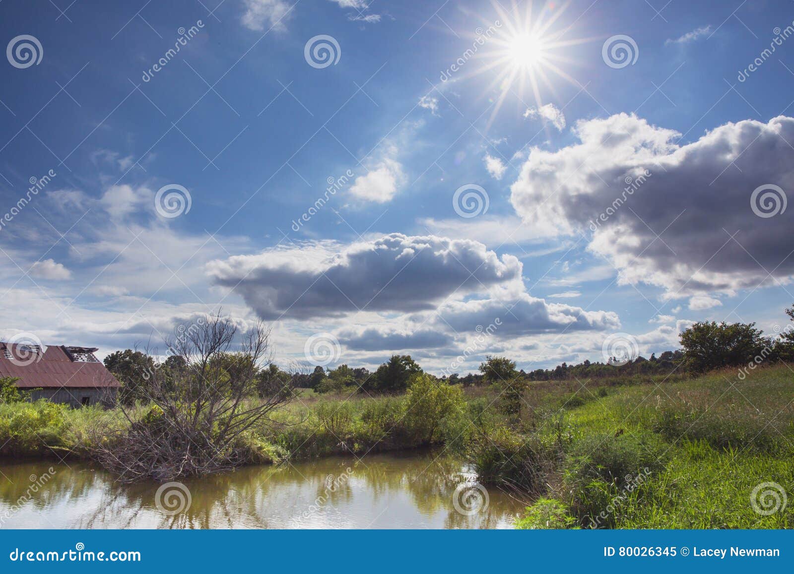 Country evening stock image. Image of farm, nature, landscape - 80026345