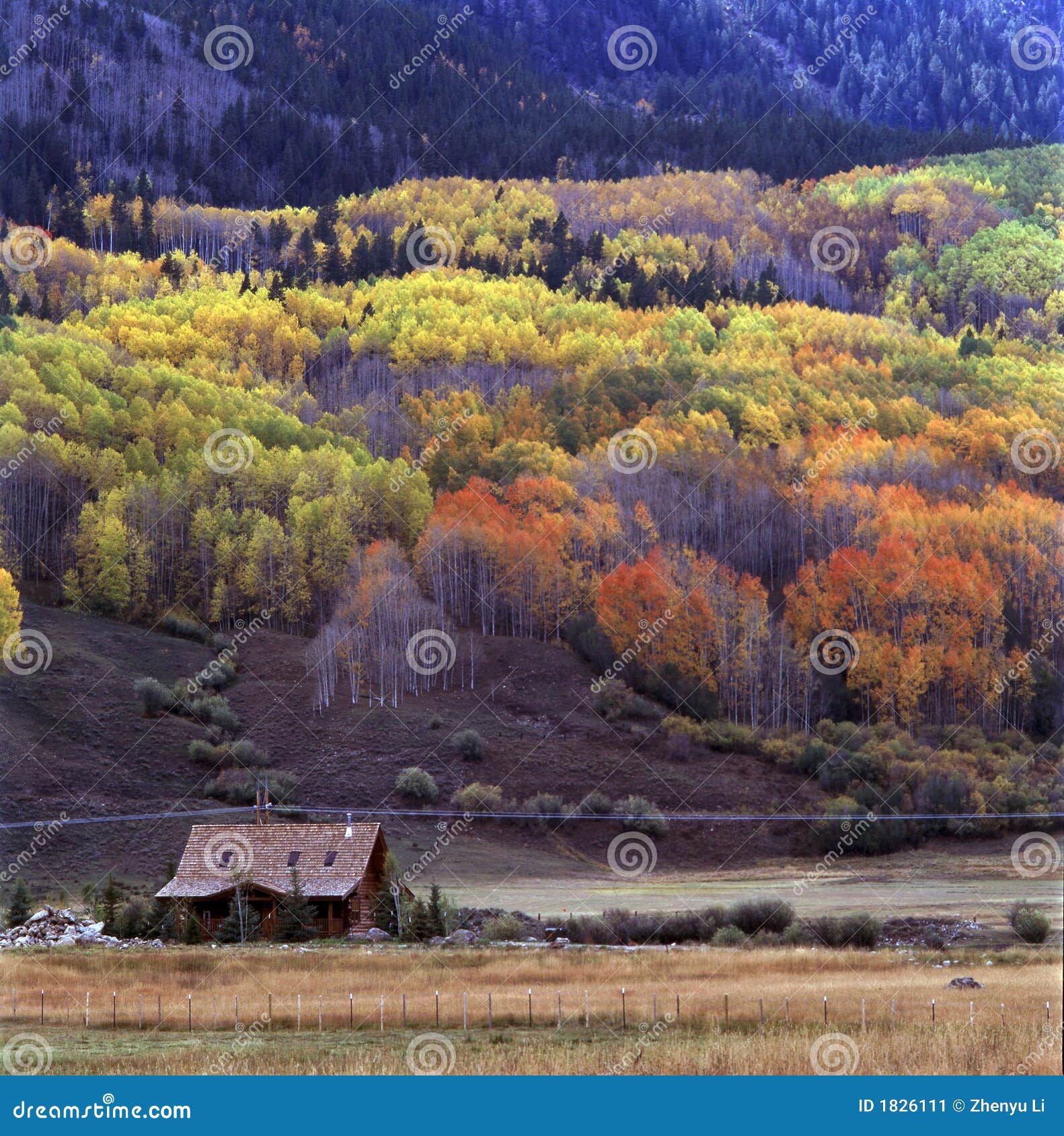 Country fall stock image. Image of colorado, foliage, colorful - 1826111