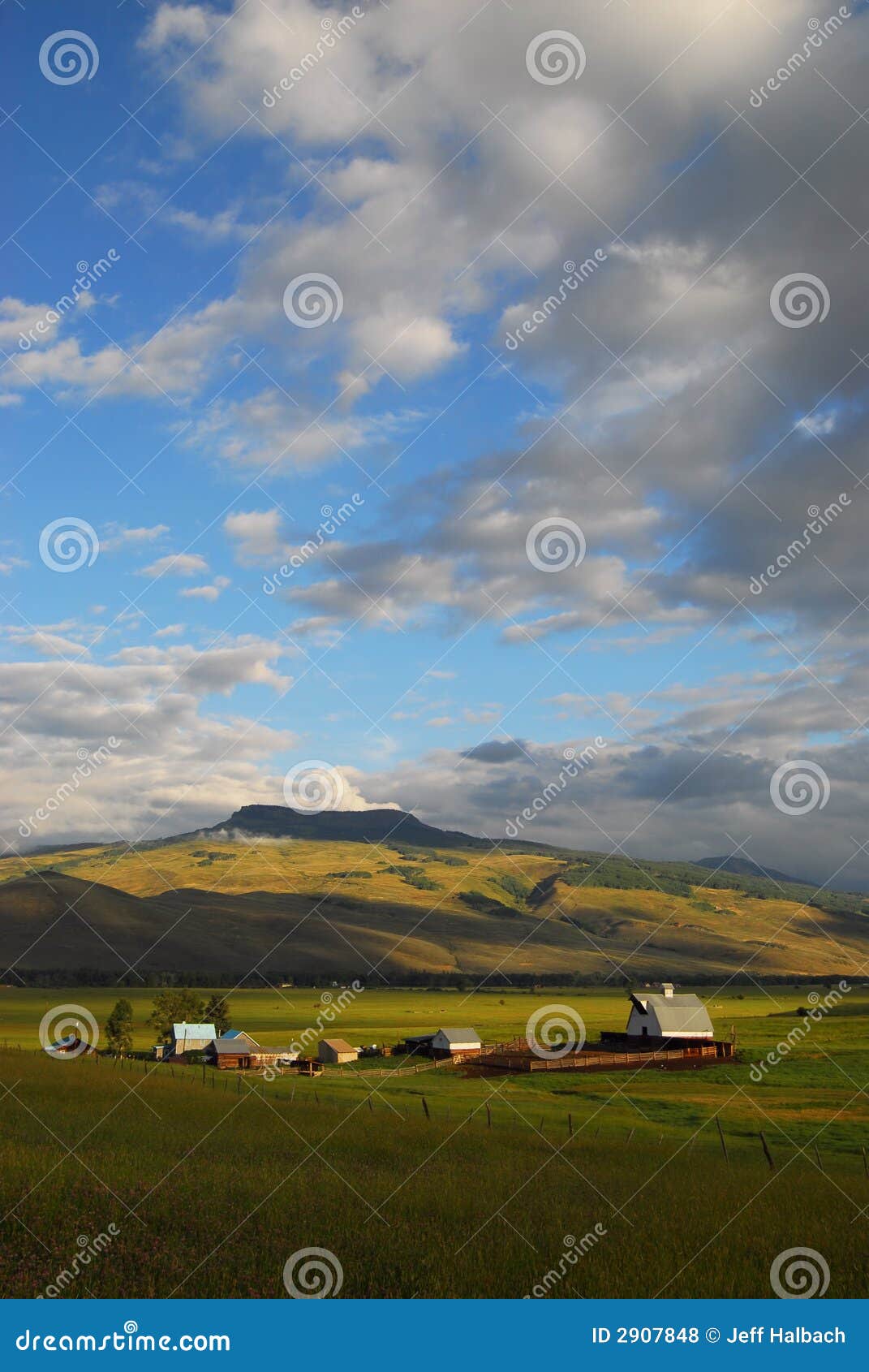 Country Farm stock photo. Image of barns, produce, fences - 2907848