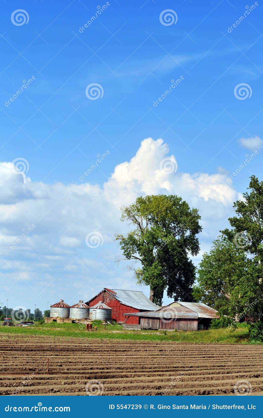 Country Farm stock image. Image of nature, trees, storage - 5547239