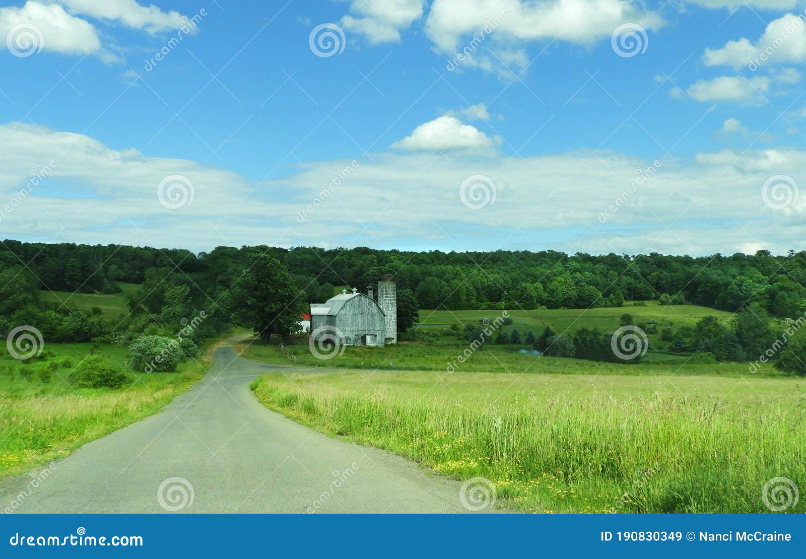Country Farm Road in CNY stock image. Image of fingerlakes - 190830349