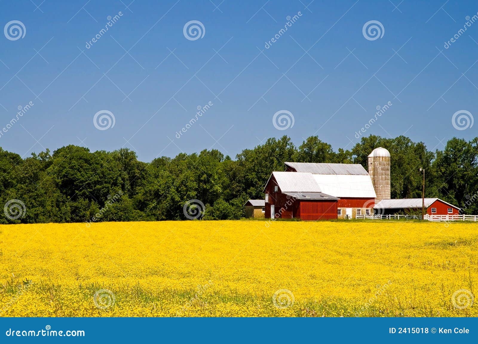 Country farm in springtime stock photo. Image of colors - 2415018