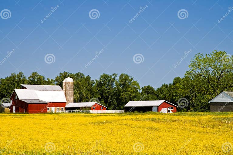 Country farm in springtime stock photo. Image of agriculture - 2415024