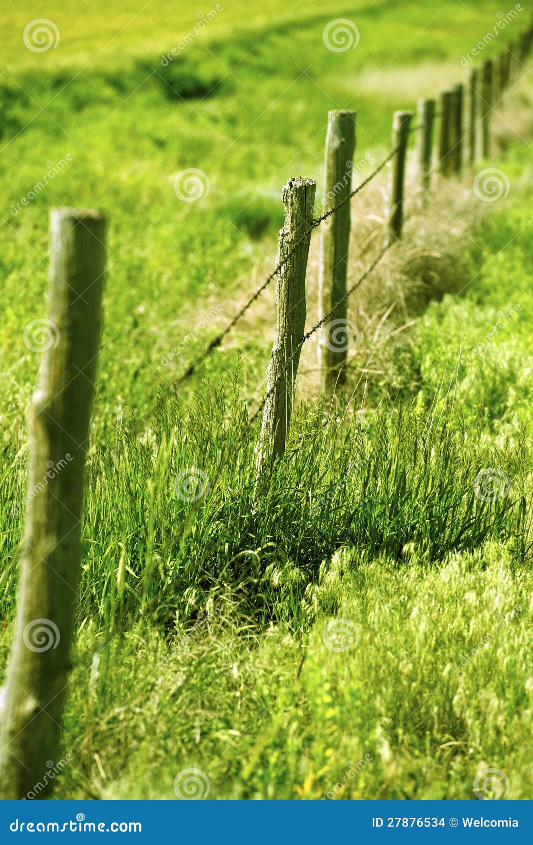 Country Fence stock photo. Image of plants, grasses, prairie - 27876534