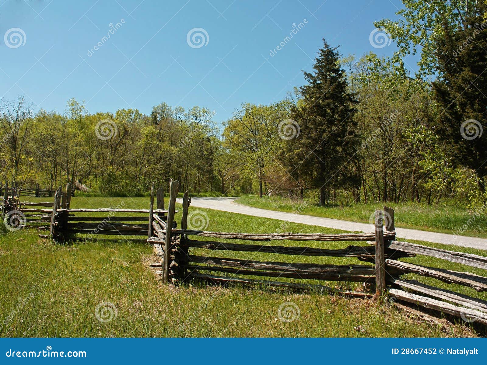 Country Fence stock photo. Image of fields, pelee, trees - 28667452