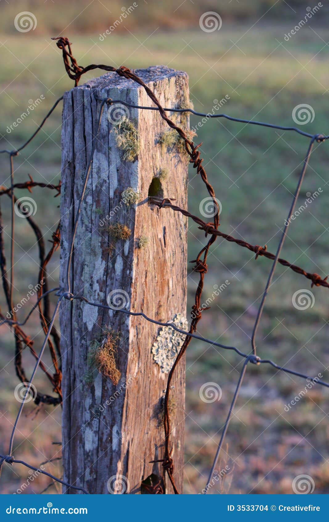 Country Fence Post stock photo. Image of wooden, farm - 3533704