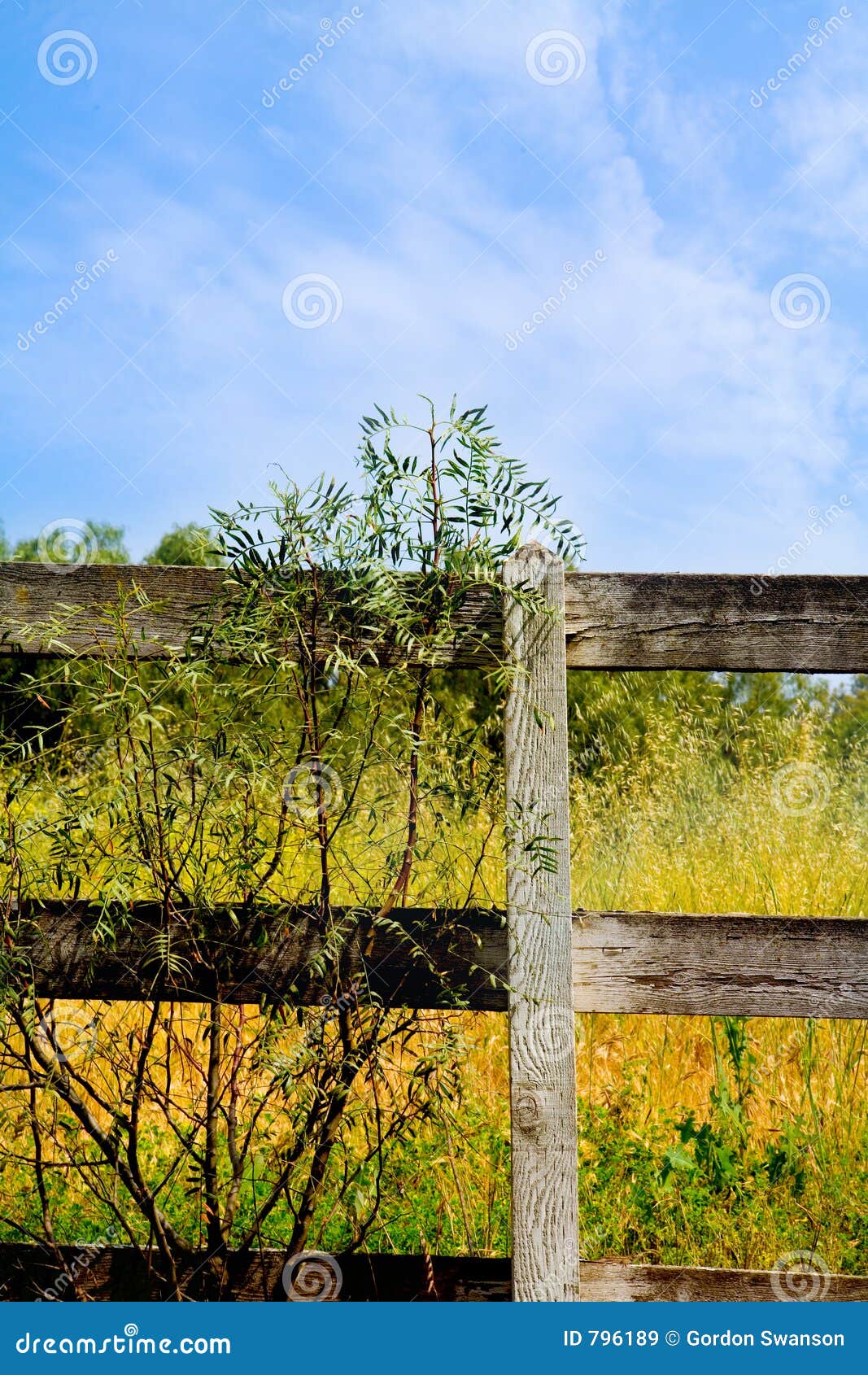 Country Fences stock image. Image of farmland, fence, shadows - 796189