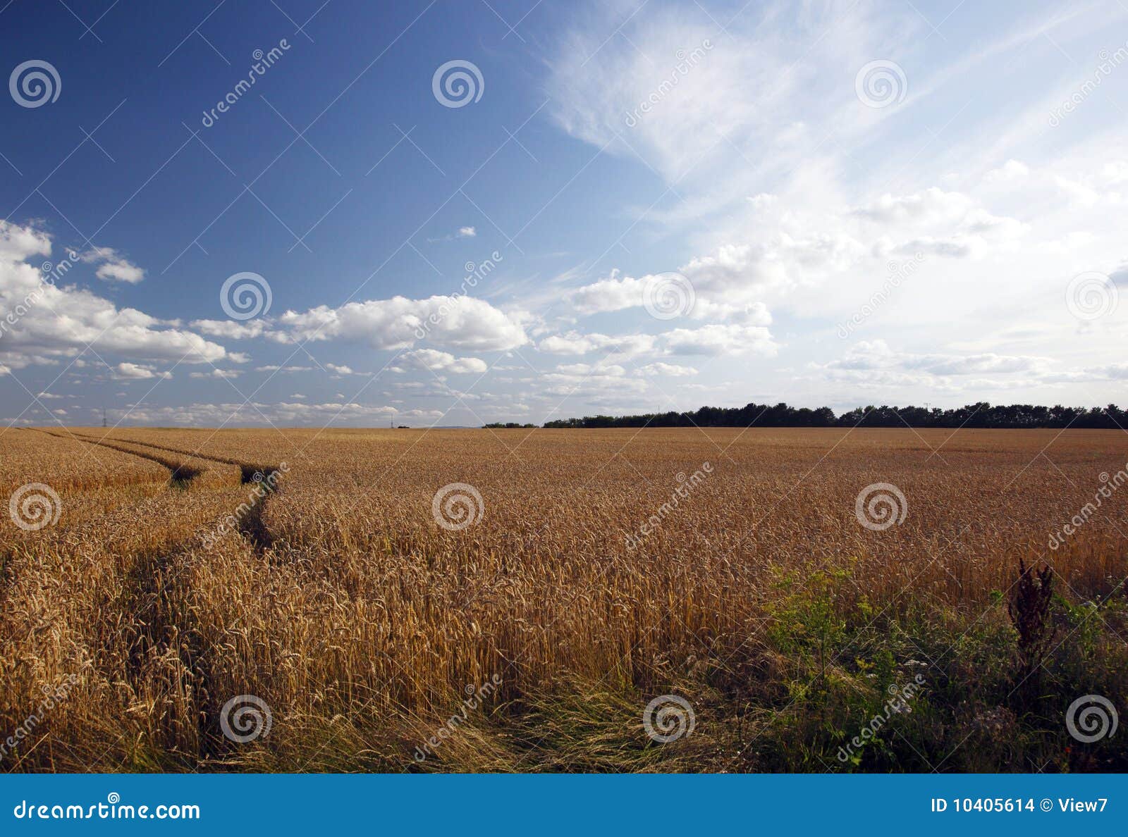 Country field stock photo. Image of farmland, agriculture - 10405614