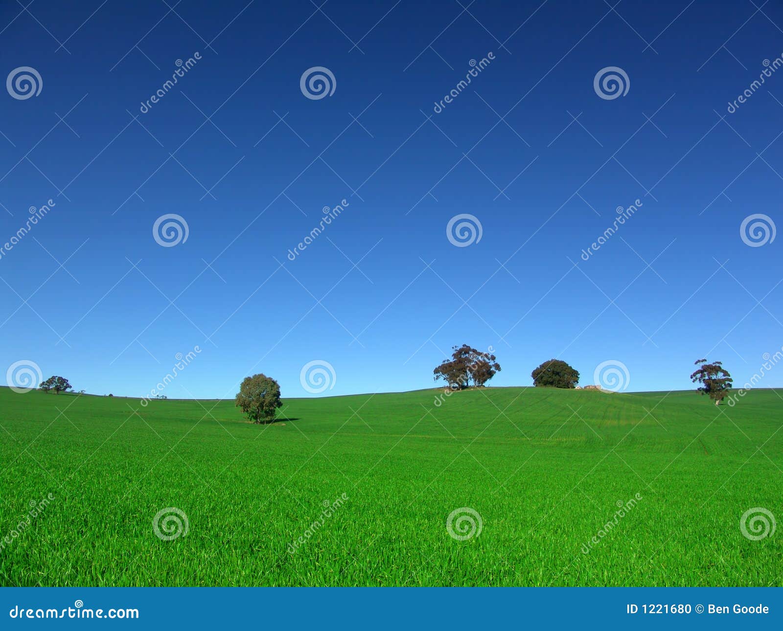 Country Field stock photo. Image of adelaide, landscape - 1221680