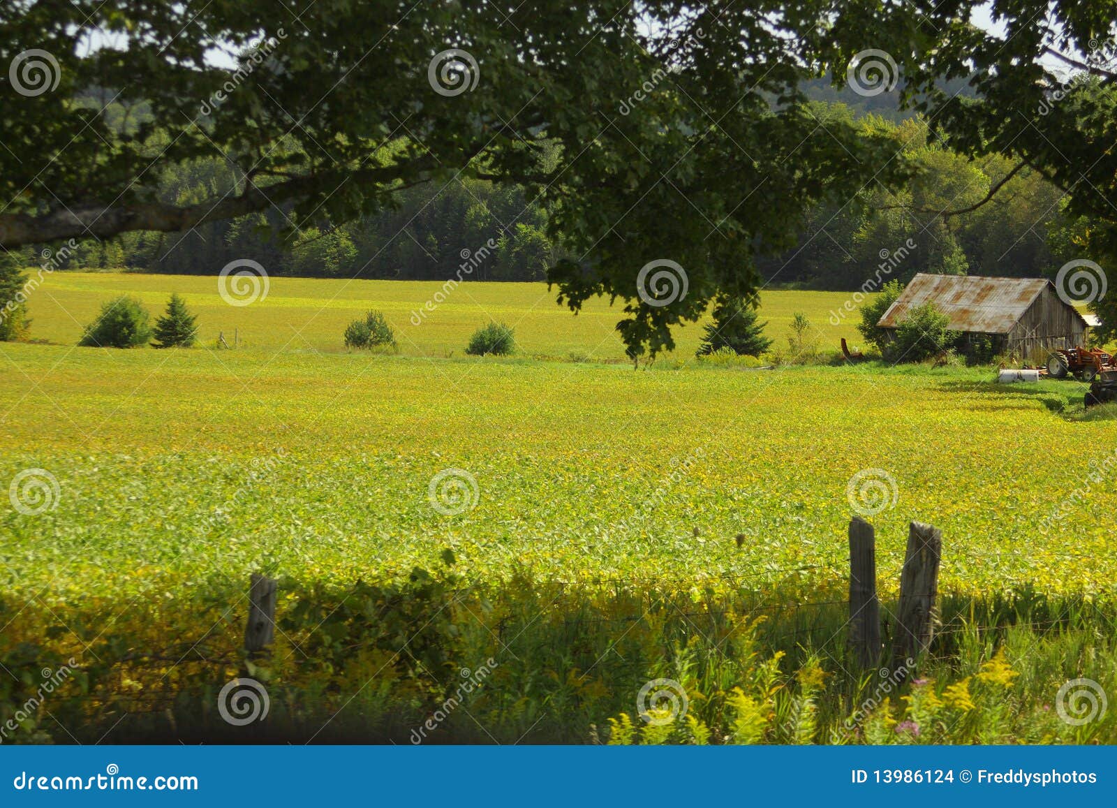 Country Field stock photo. Image of field, barn, meadow - 13986124