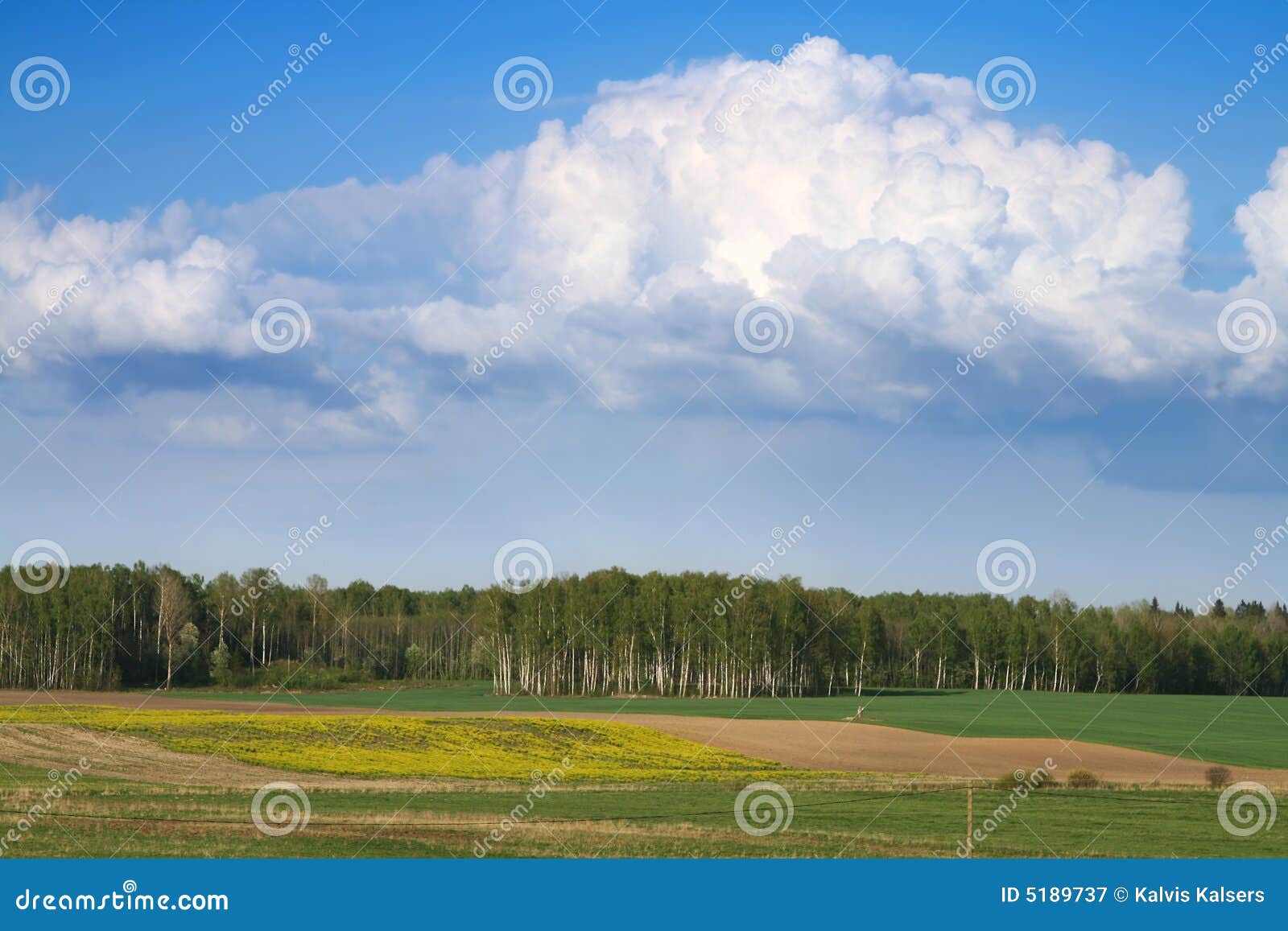 Country Field Picture. Image: 5189737