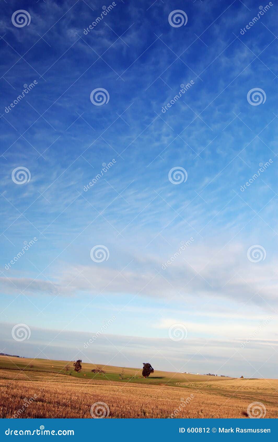 Country field stock photo. Image of clouds, stratus, farm - 600812