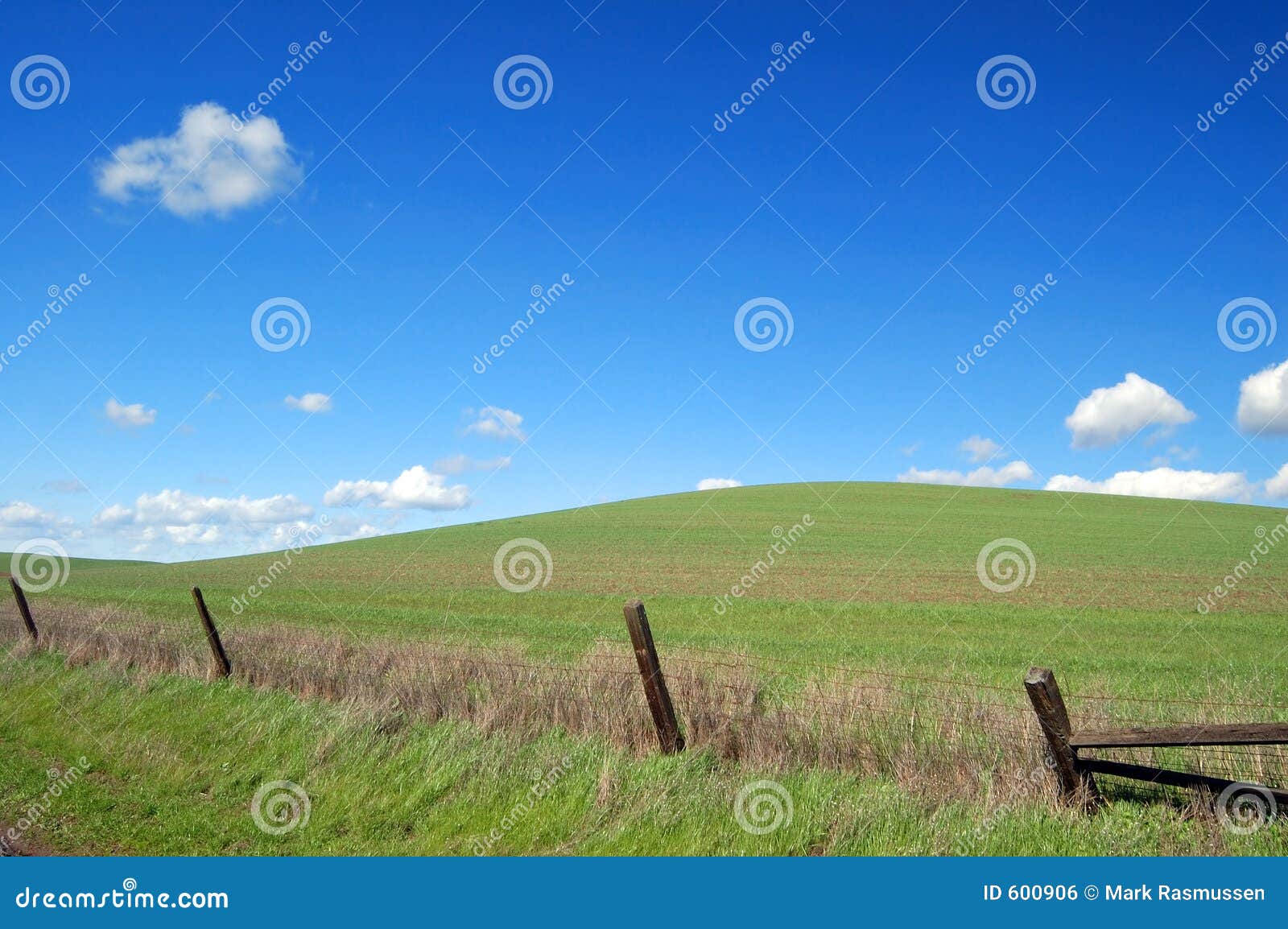 Country field stock photo. Image of puffy, clouds, country - 600906
