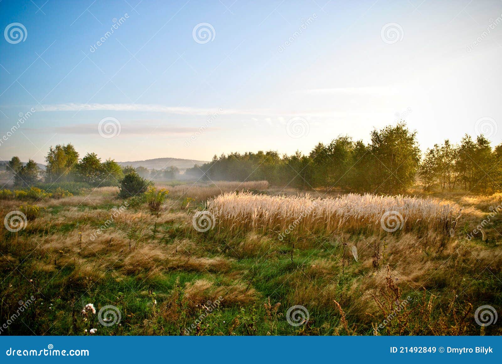Country field at sunrise stock image. Image of peaceful - 21492849