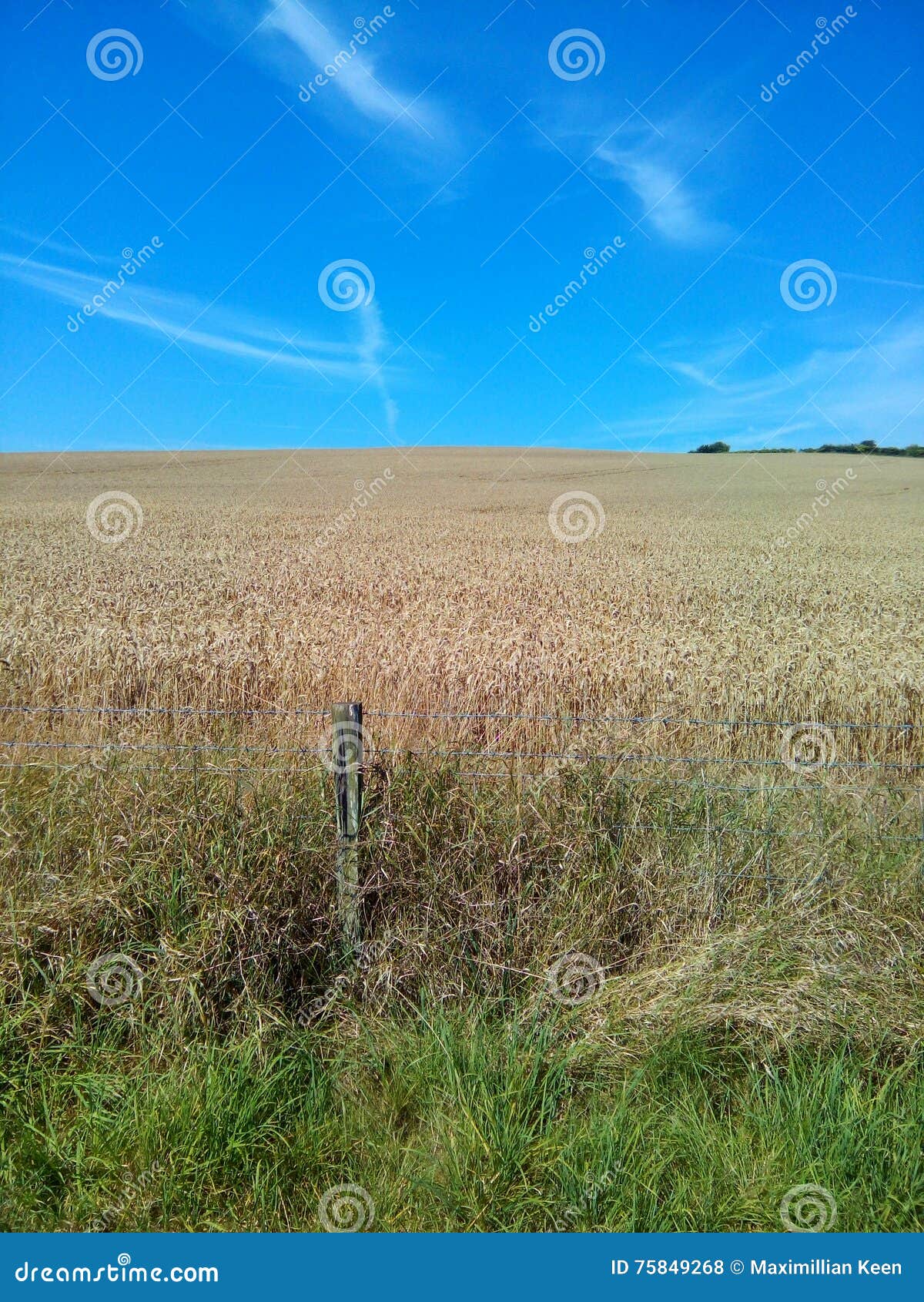 Country field stock photo. Image of field, clear, underneath - 75849268