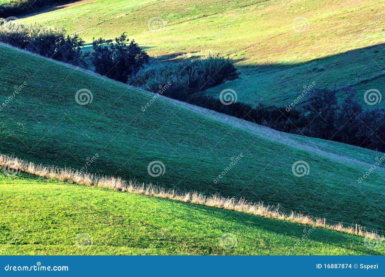 Country Fields stock photo. Image of land, field, shade - 16887874