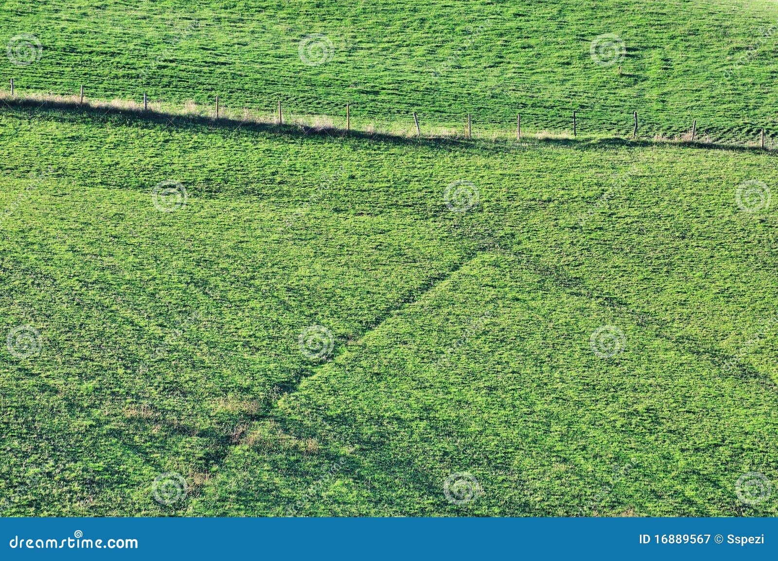 Country Fields stock image. Image of graze, grass, fence - 16889567