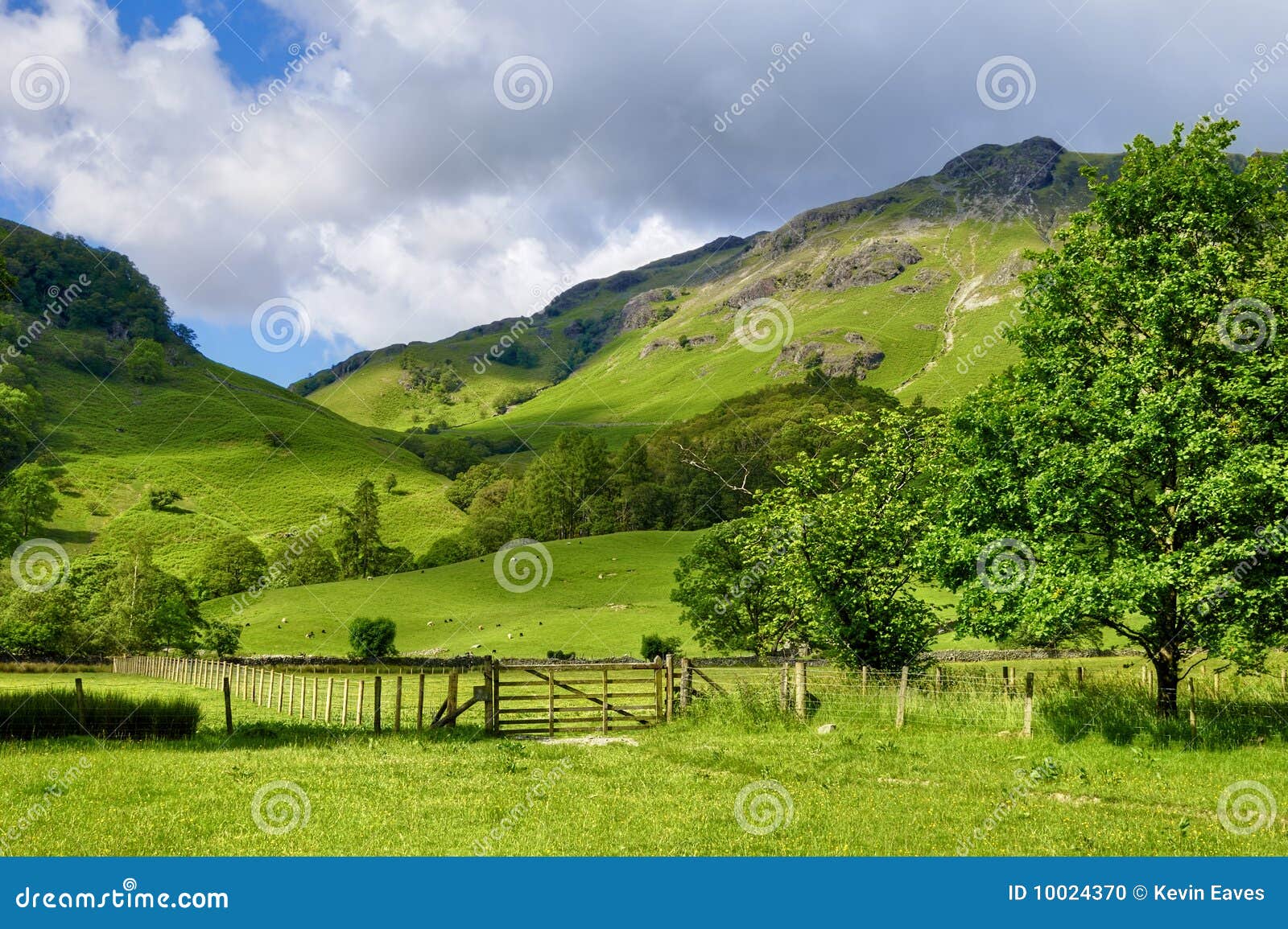Country Fields and Hillside Stock Photo - Image of england, rolling ...