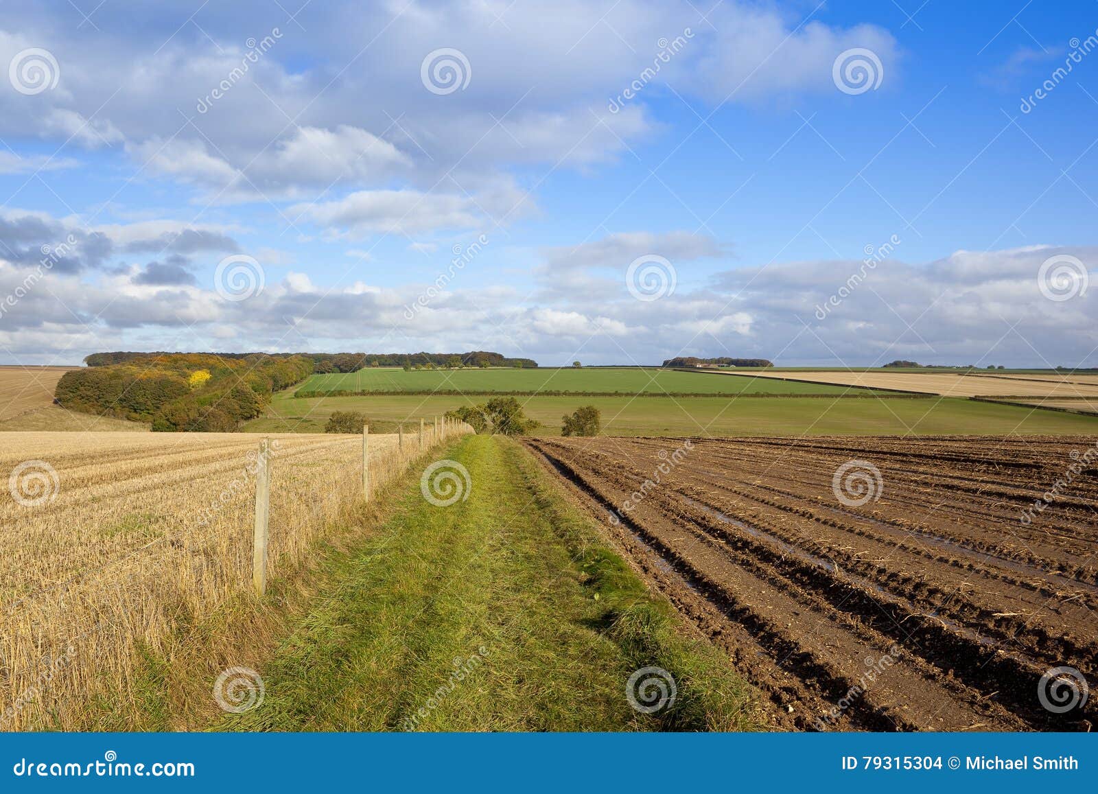 Country footpath stock photo. Image of marks, scenery - 79315304