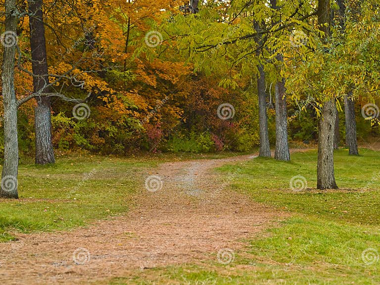 Country Forest Foot Path stock photo. Image of autumn - 14731176