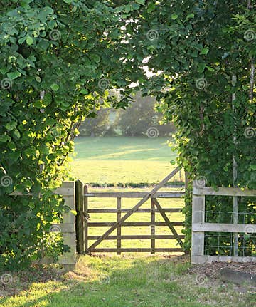 Country Gate stock photo. Image of explore, entry, hedge - 966690