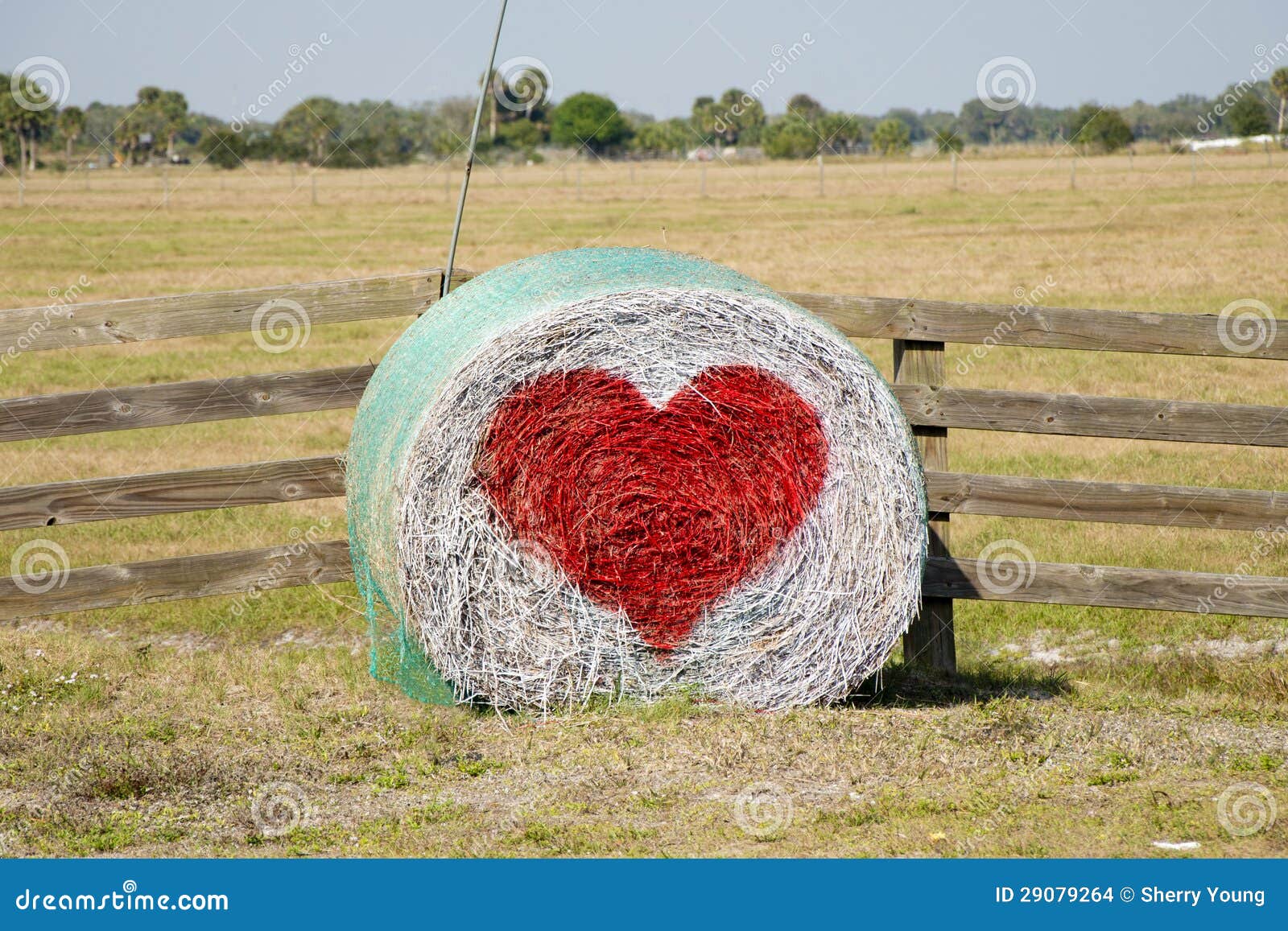 Country Hay Bale Valentine stock photo. Image of country - 29079264