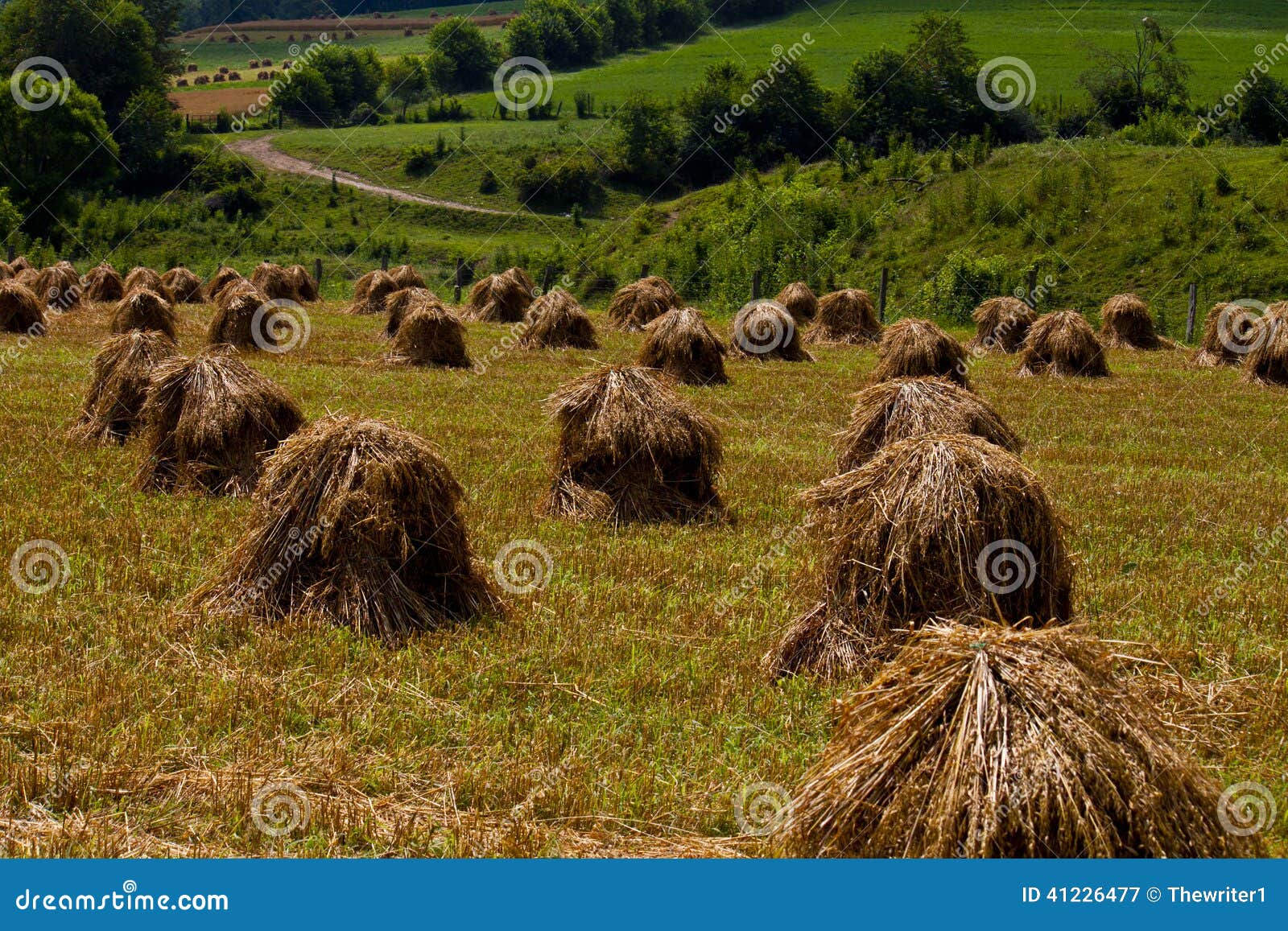 Country Haystacks stock image. Image of agriculture, hills - 41226477