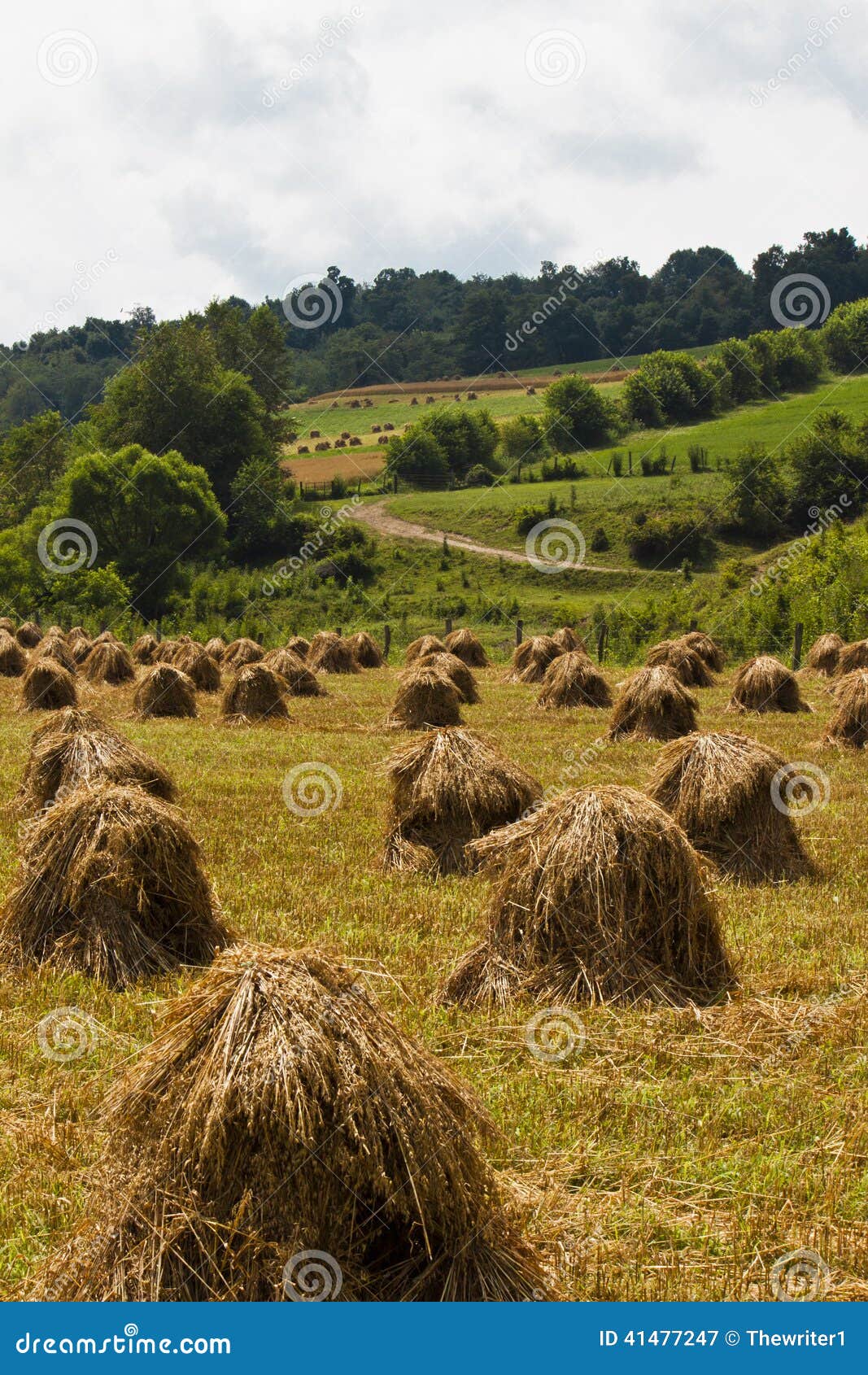 Country Haystacks stock image. Image of field, landscape - 41477247