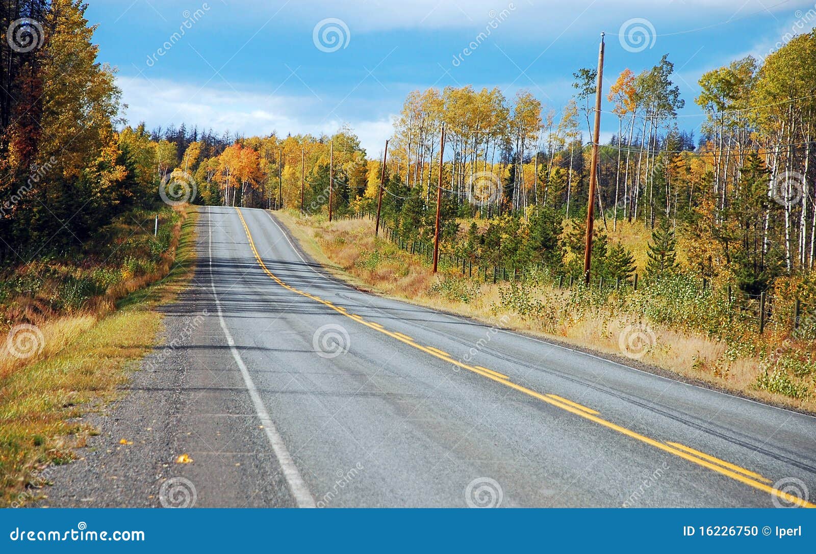 Country highway stock photo. Image of path, forest, autumn - 16226750