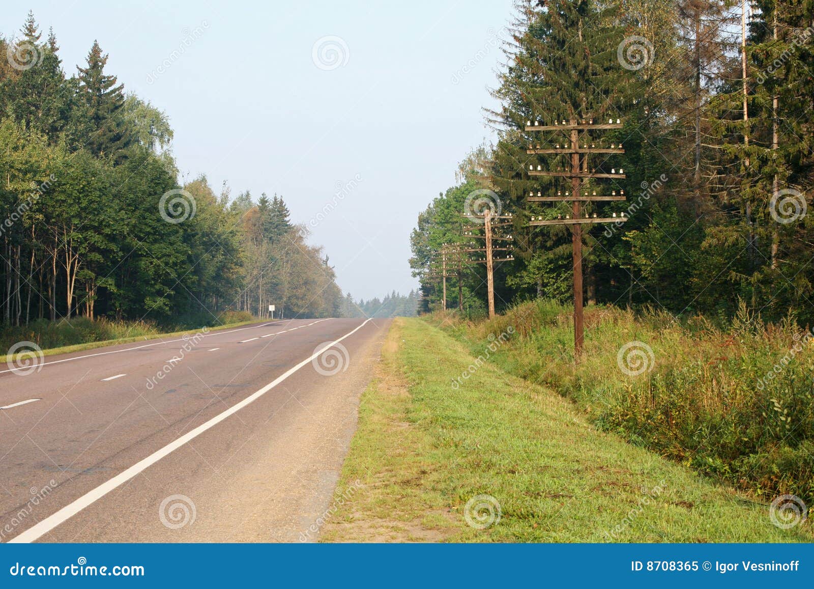 Country highway stock image. Image of wire, tree, morning - 8708365