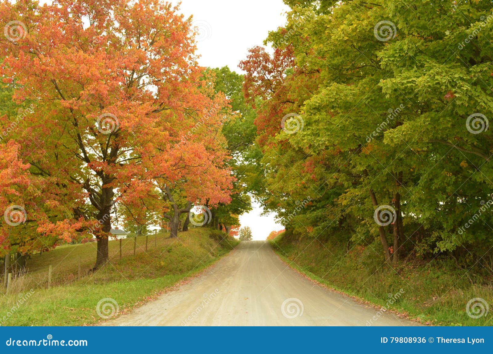 Country Hill Road on an Autumn Day Stock Photo - Image of backroad ...