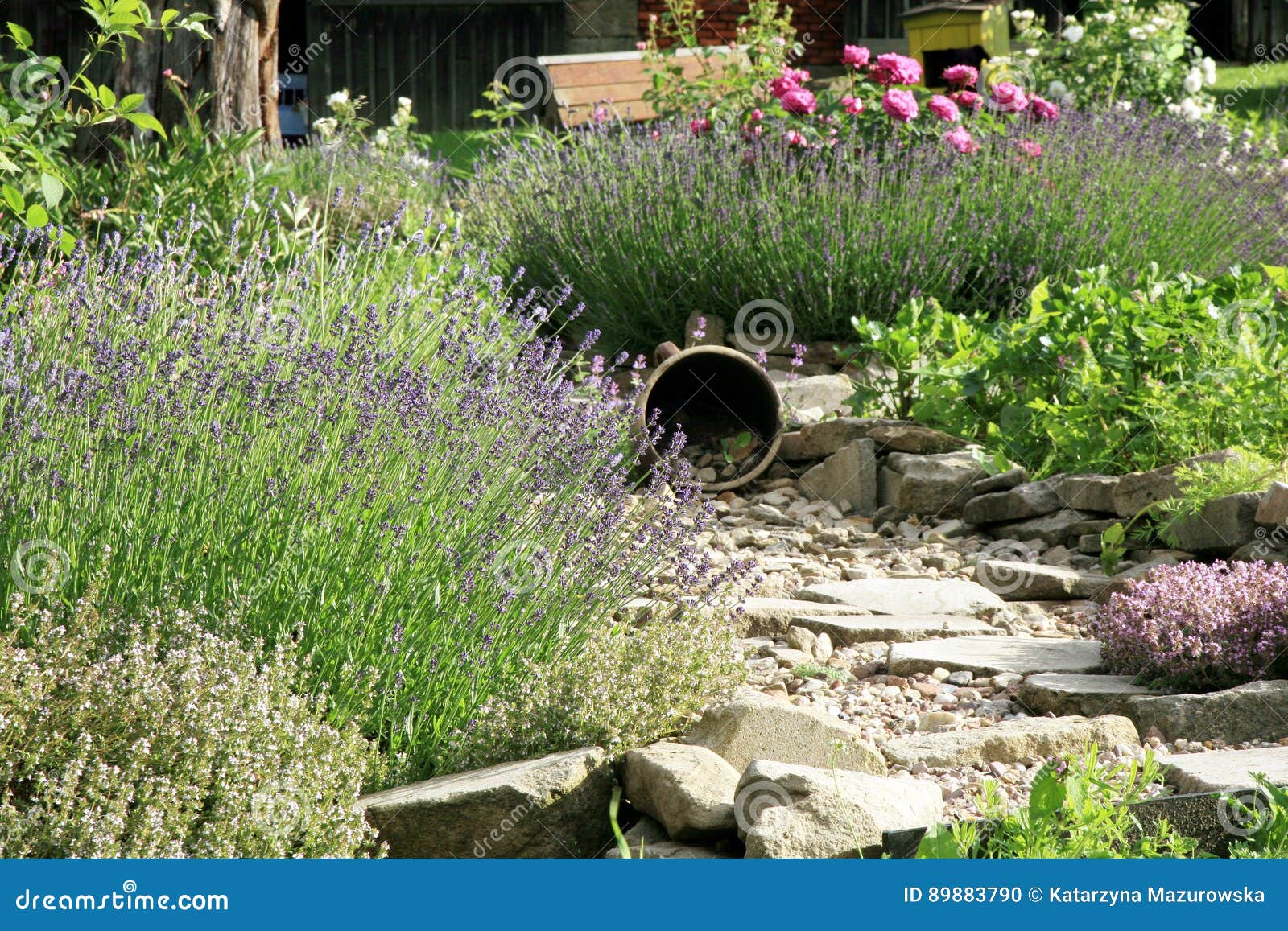 Country Home Garden by Rustic Style. Stock Photo - Image of backstreet ...