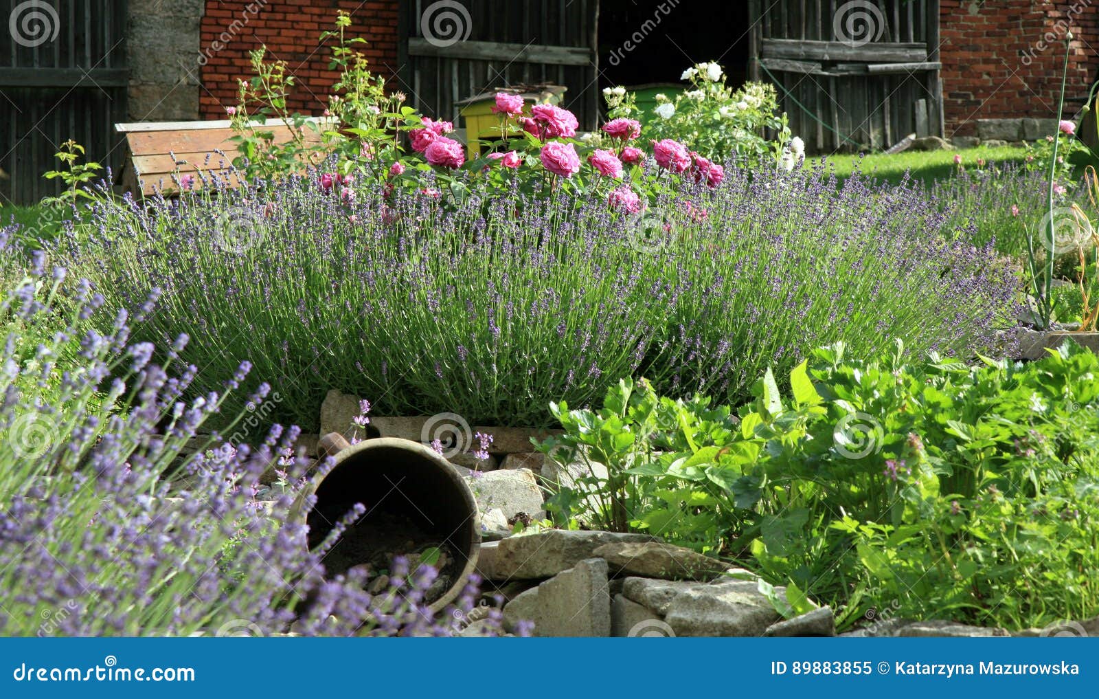 Country Home Garden by Rustic Style. Stock Image - Image of decoration ...
