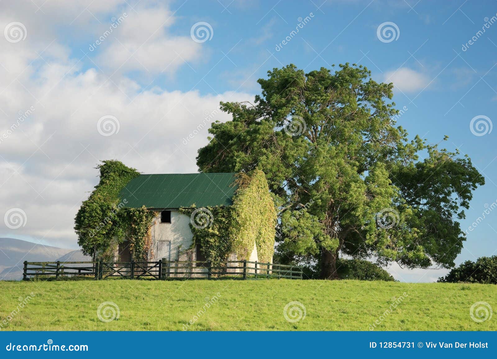 Country house stock image. Image of back, landscaped - 12854731