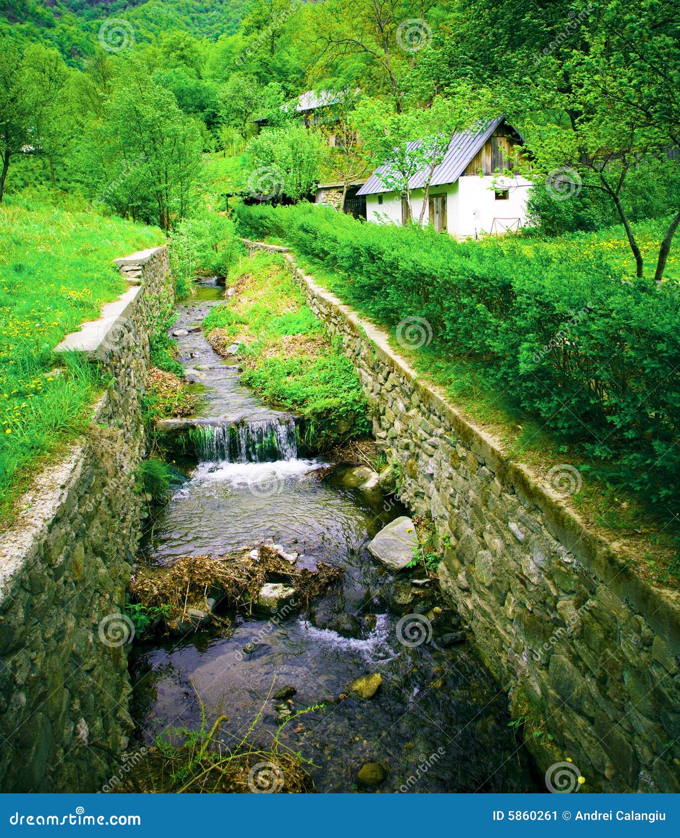 Nature Country Homes
