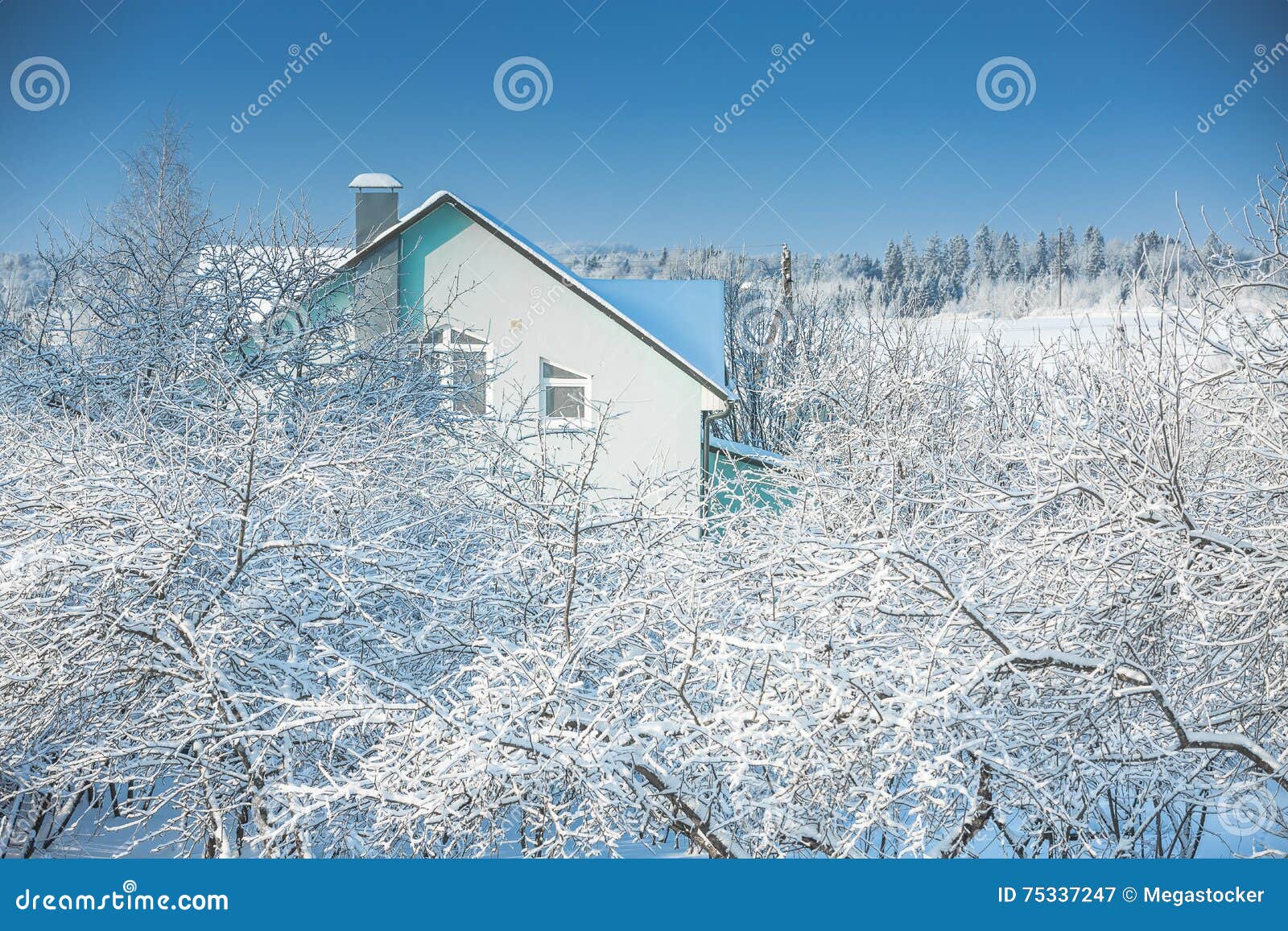 Country Houses after Snowfall Stock Image - Image of tree, forest: 75337247
