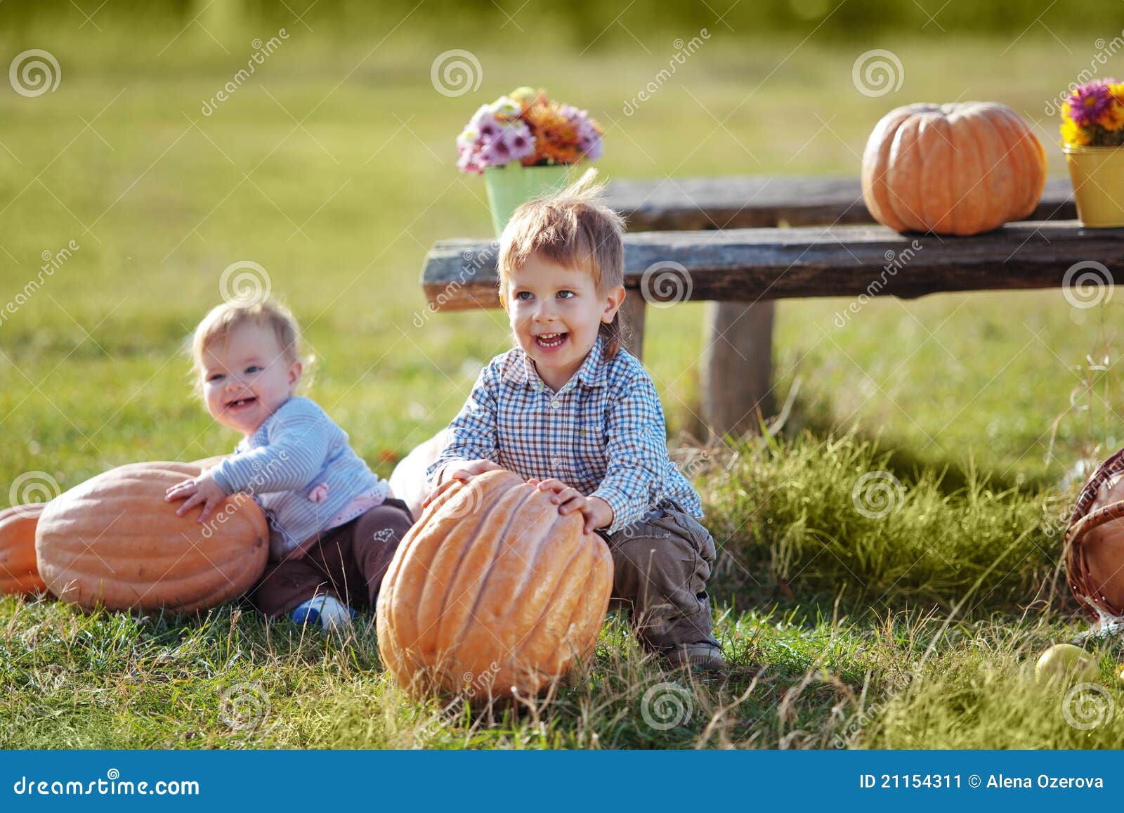 Country kids stock image. Image of friends, group, kids - 21154311
