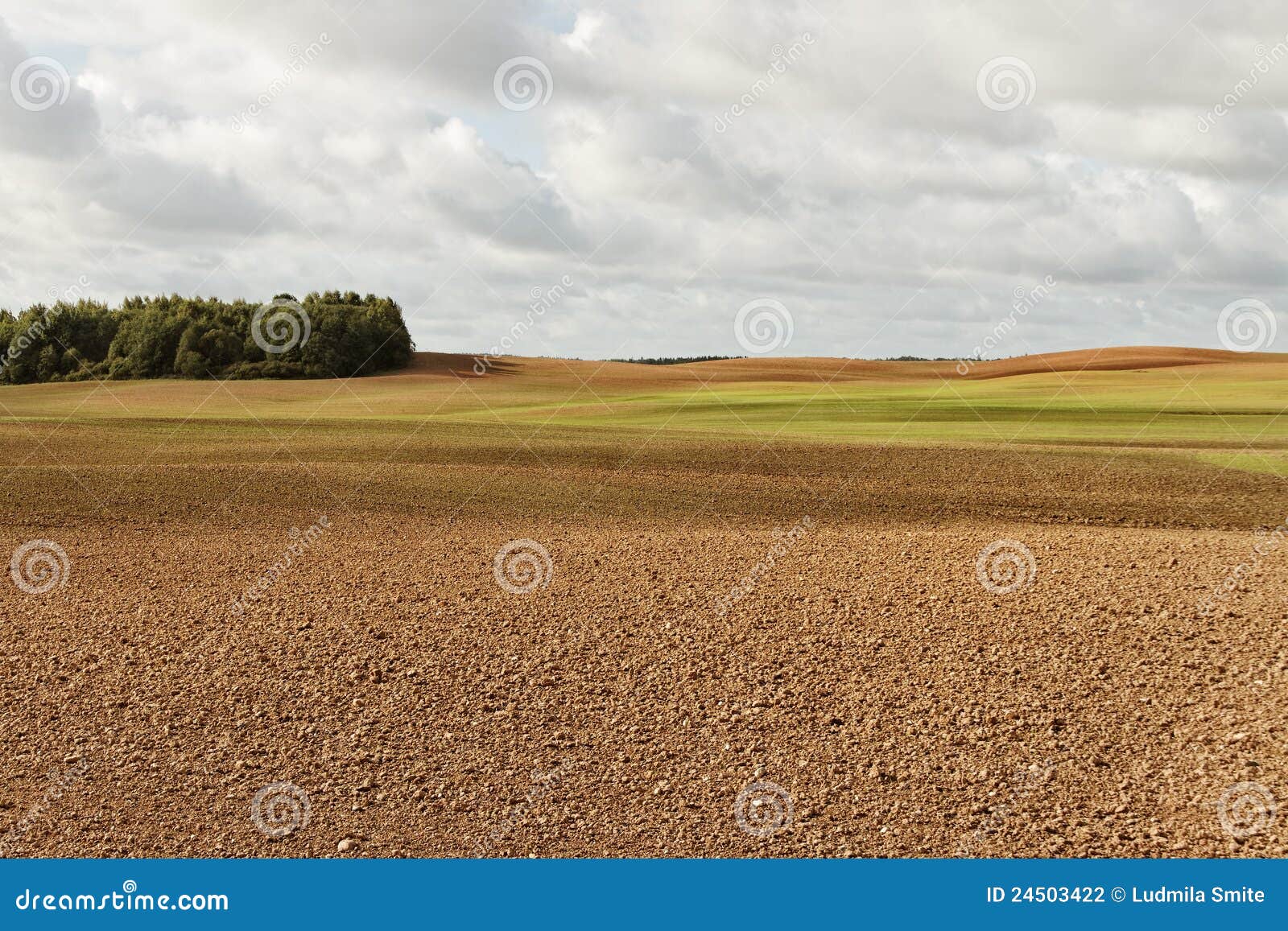 Country landscape. stock photo. Image of cultivated, sunlight - 24503422
