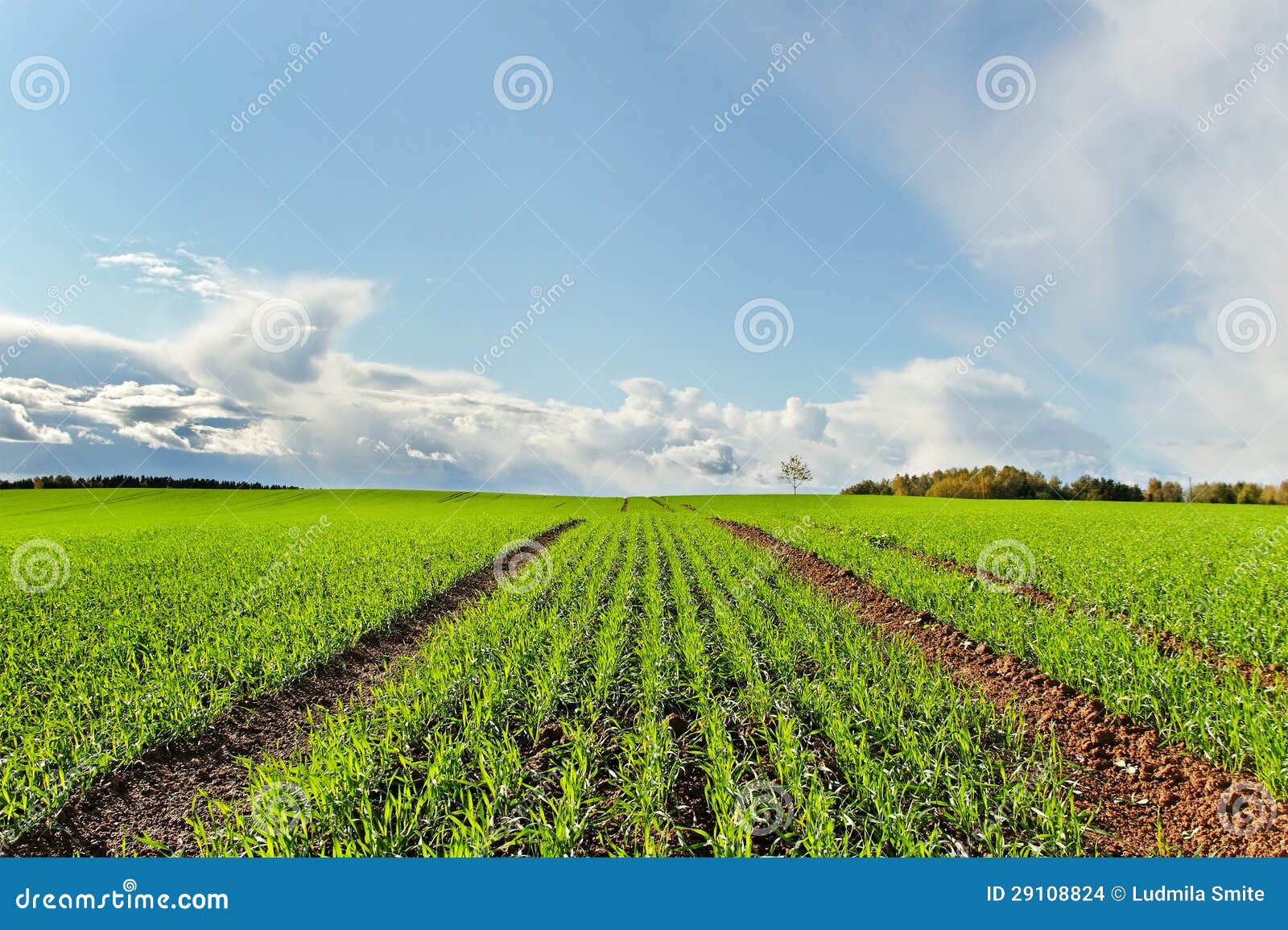 Country landscape. stock photo. Image of countryside - 29108824