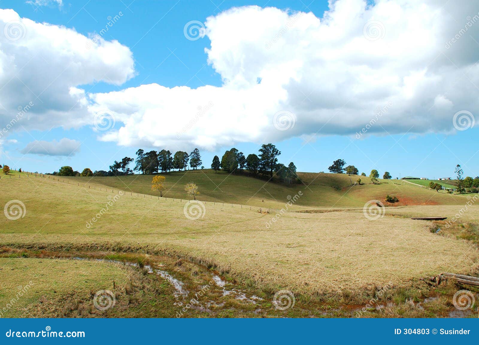 Country Landscape stock image. Image of tree, australia - 304803