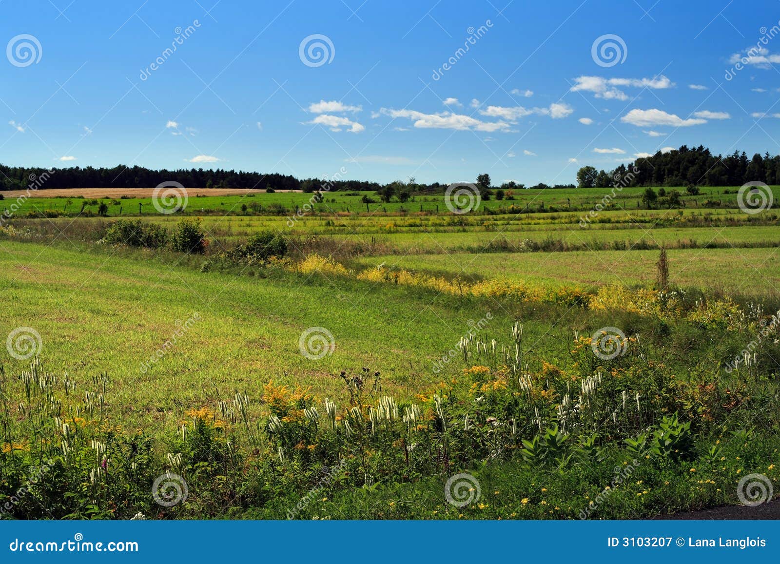 Country landscape stock image. Image of scenery, countryside - 3103207