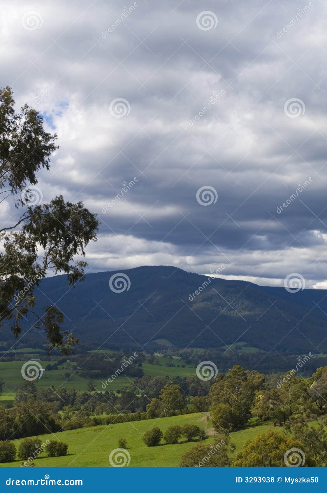 Country landscape stock photo. Image of australia, valley - 3293938
