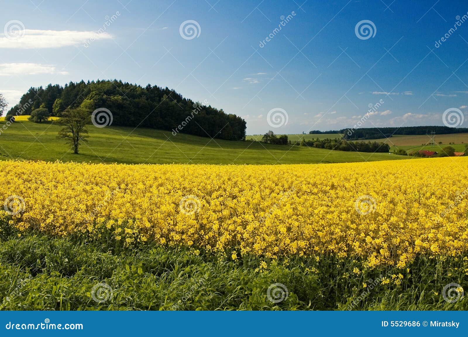 Country landscape stock photo. Image of dramatic, countryside - 5529686
